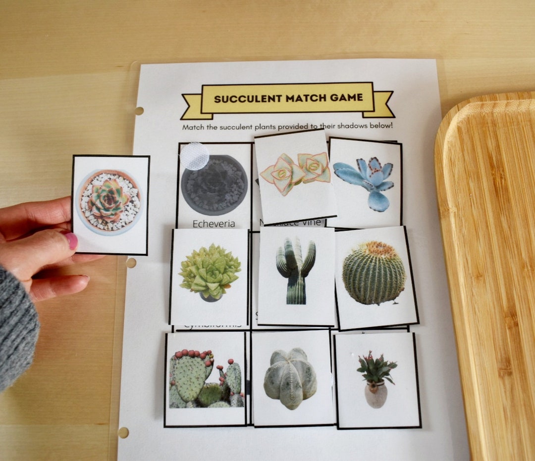 Preschool Printable Succulent Plant Matching Game, Busy Book Page ...