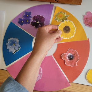 Printable Flower Color Wheel Matching Game, Floral Color Wheel ...