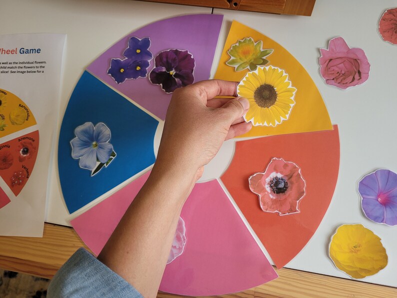 Printable Flower Color Wheel Matching Game Floral Color - Etsy