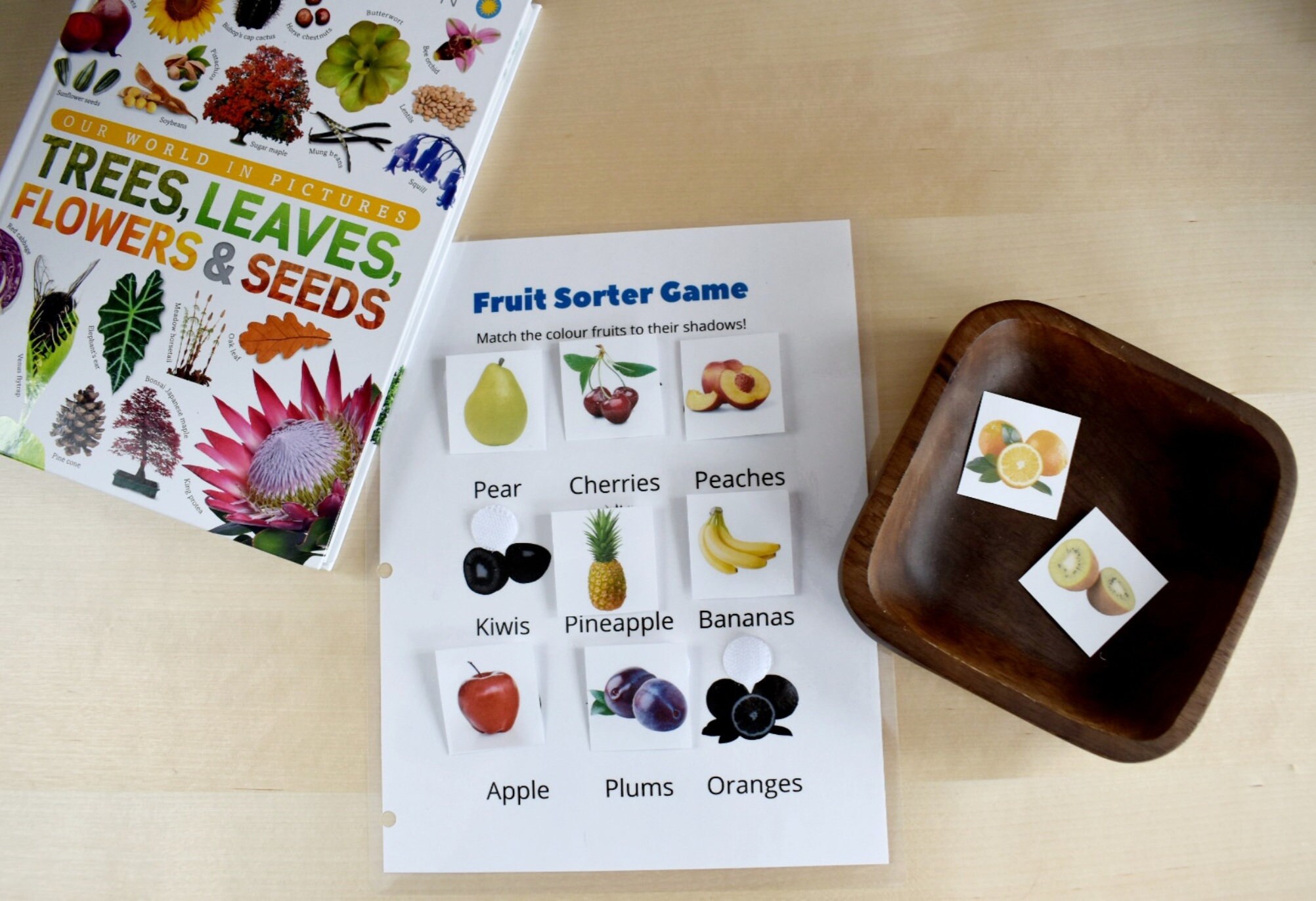 Preschool Printable Fruit Sorter Game, Busy Book Page, Activities for ...