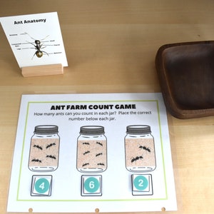 Ant Farm Count Game, Mathematics Worksheet, Home Learning, Homeschool ...