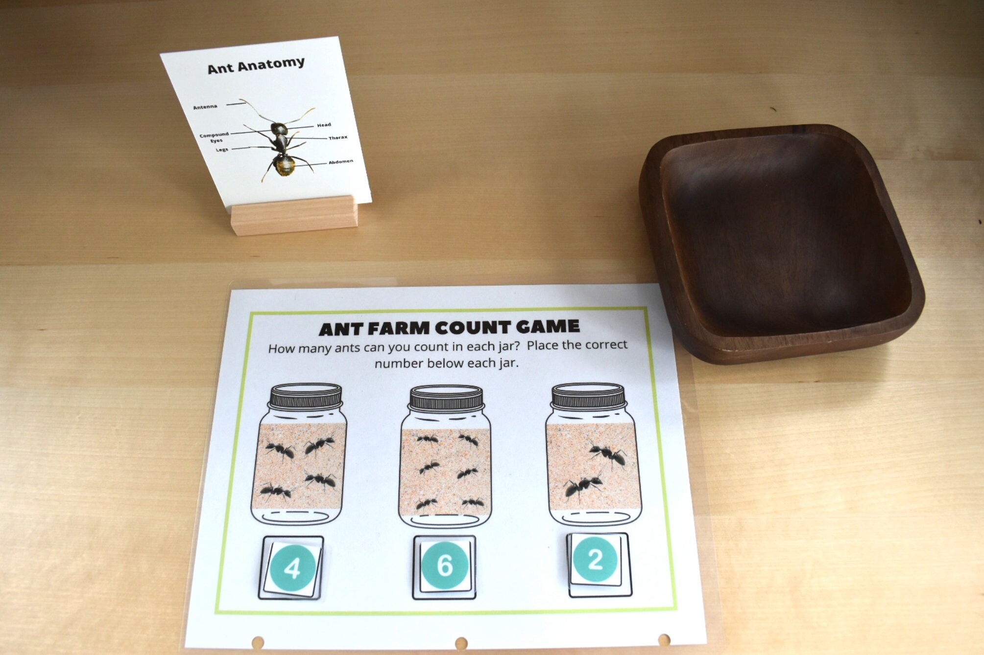 Ant Farm Count Game, Mathematics Worksheet, Home Learning, Homeschool ...