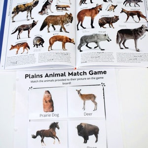 Plains Animal Matching Game, Activities for Preschoolers, Montessori ...