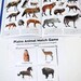 Plains Animal Matching Game, Activities for Preschoolers, Montessori ...