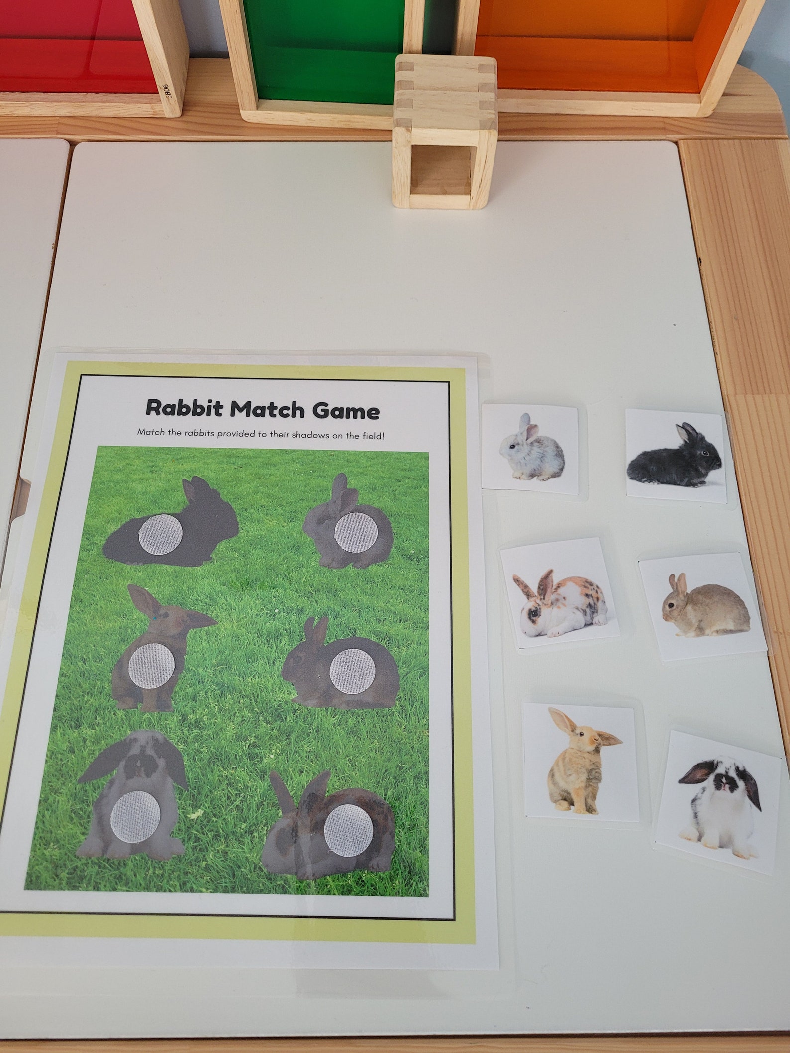 Printable Rabbit Match Game, Montessori Inspired, Nature Study, Toddler ...