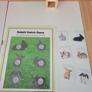Printable Rabbit Match Game, Montessori Inspired, Nature Study, Toddler ...