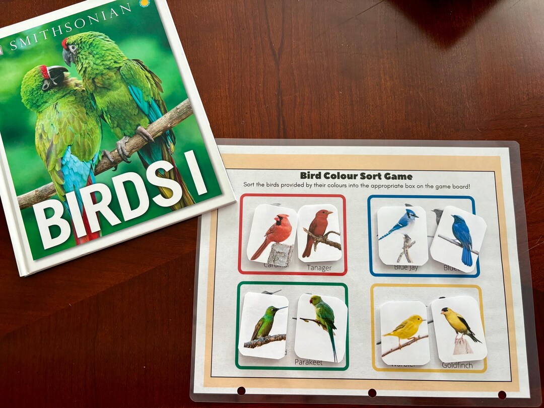 Printable Bird Color Sort Game, Preschool Worksheet, Montessori ...