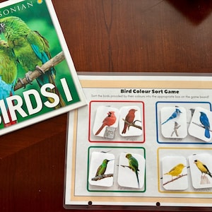 Printable Bird Color Sorting Game: Montessori Homeschool Activity (PDF ...