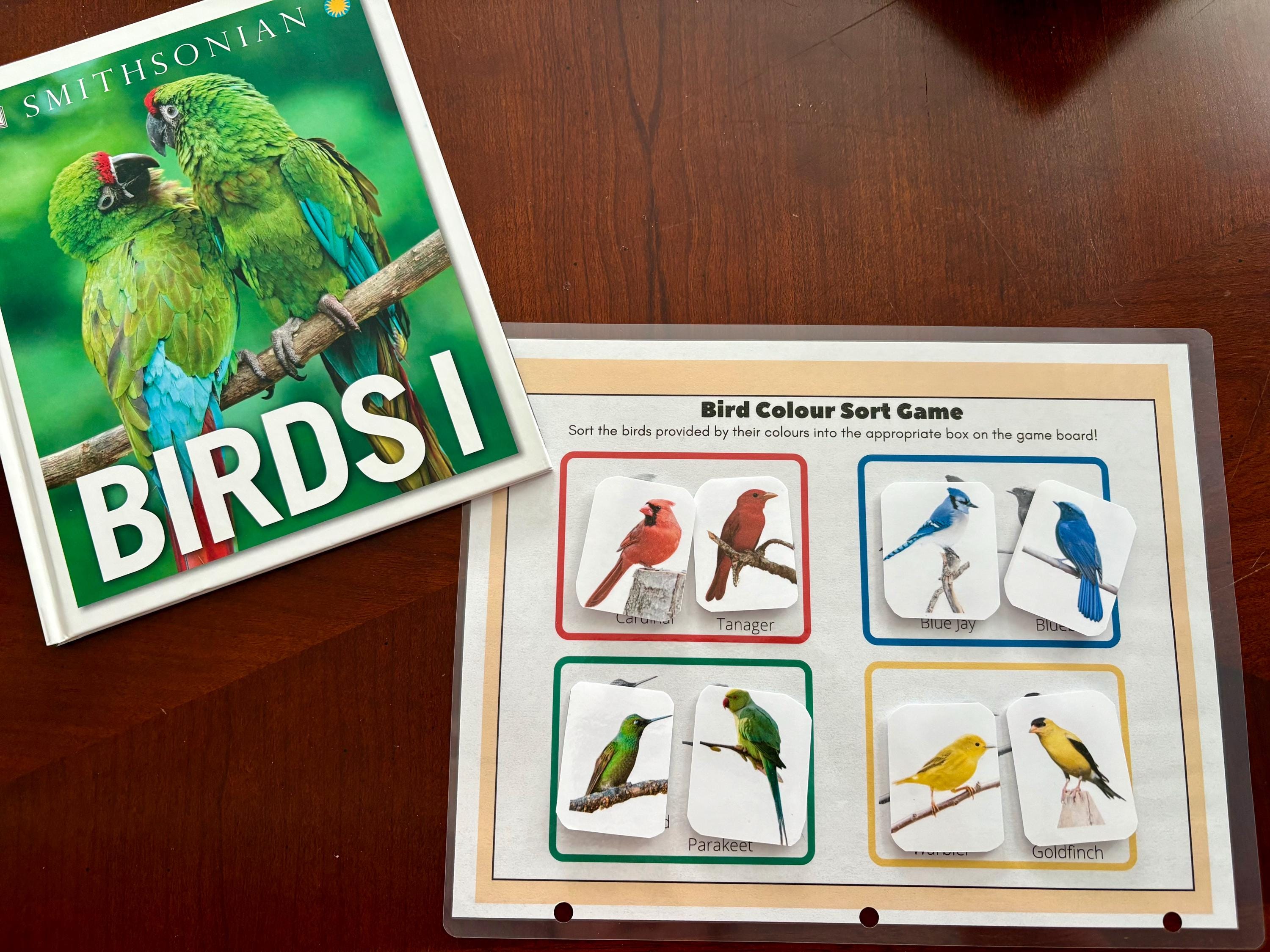 Printable Bird Color Sorting Game: Montessori Homeschool Activity (PDF ...