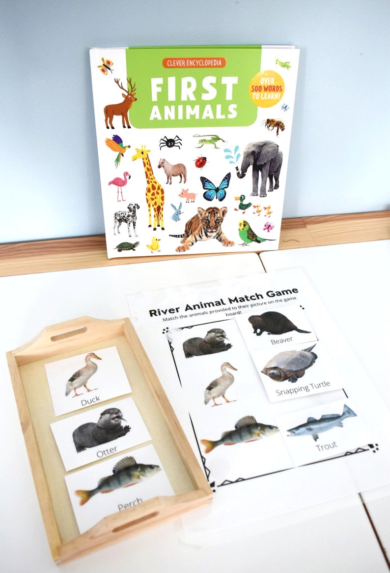 Forest Animal Matching Worksheet Activities for Preschoolers - Etsy