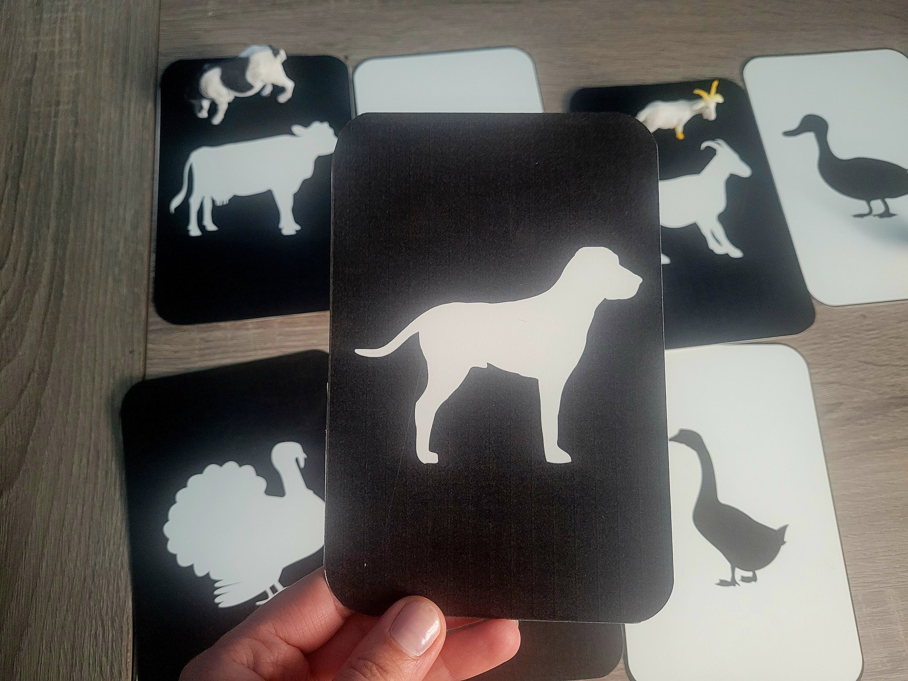 Baby Sensory Cards, High Contrast Cards, Black and White Sensory ...