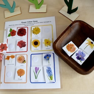 Preschool Printable Flower Colour Matching Game, Montessori Inspired ...