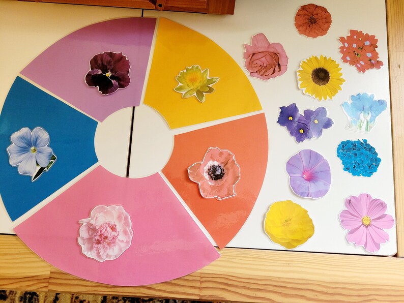 Printable Flower Color Wheel Matching Game Floral Color - Etsy
