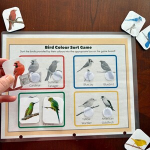 Printable Bird Color Sorting Game: Montessori Homeschool Activity (PDF ...