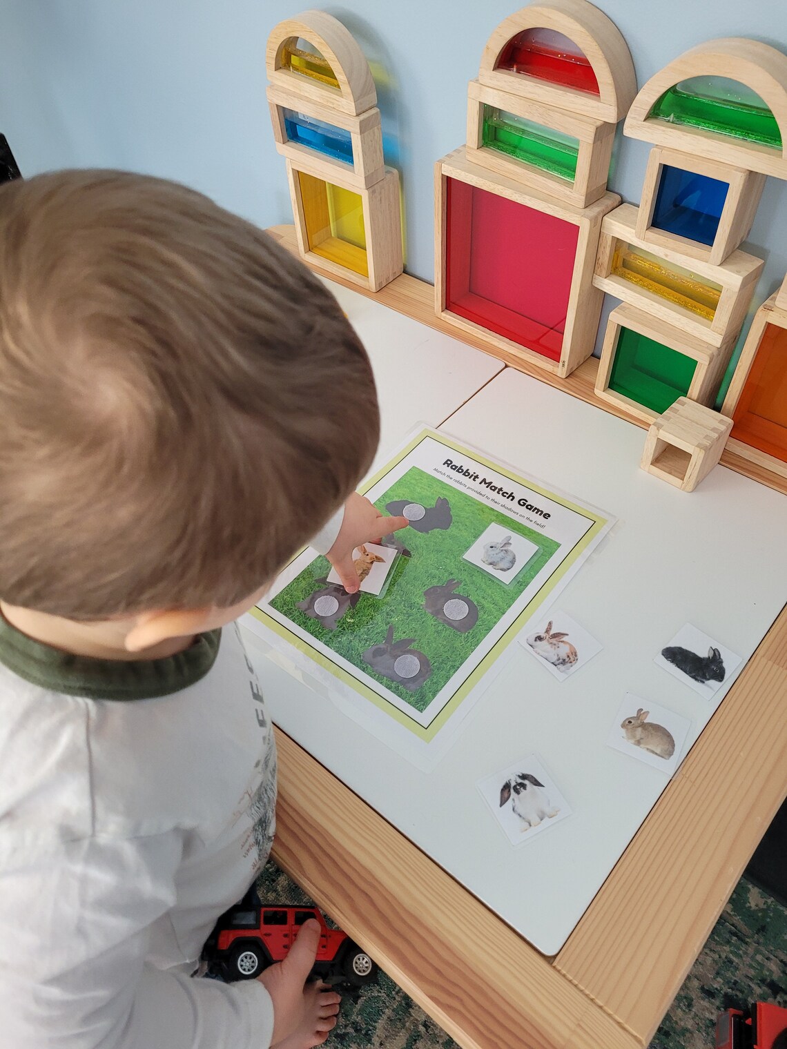 Printable Rabbit Match Game, Montessori Inspired, Nature Study, Toddler ...