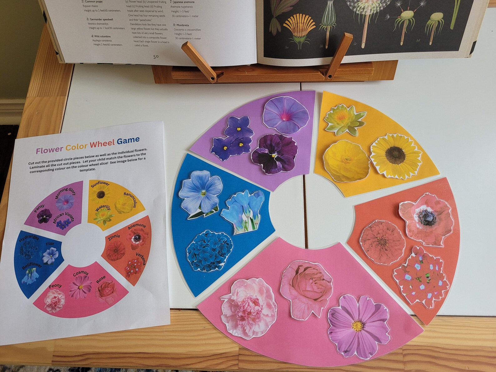 Printable Flower Color Wheel Matching Game, Floral Color Wheel ...