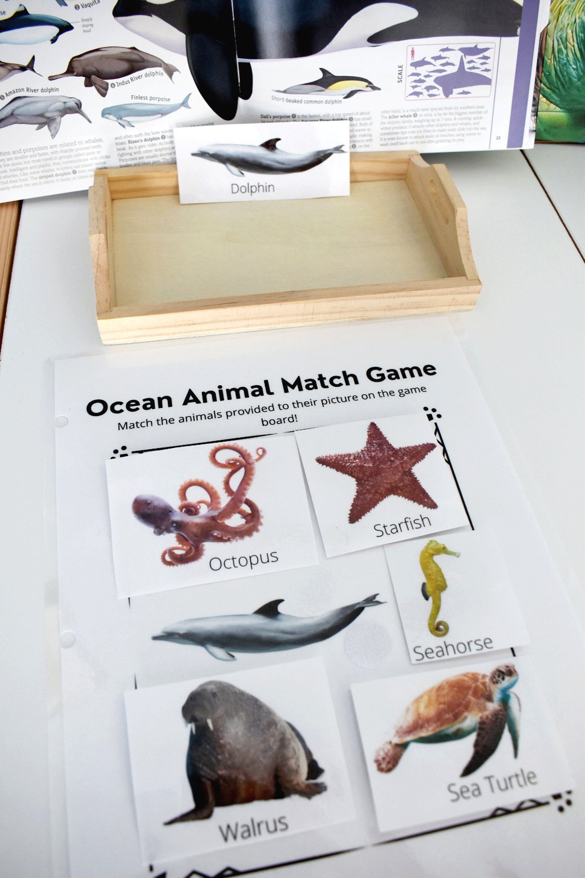 Ocean Animals Matching Game Preschool Printable Busy Book - Etsy
