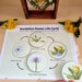 Dandelion Flower Life Cycle Worksheet, Toddler Activity, Preschool ...