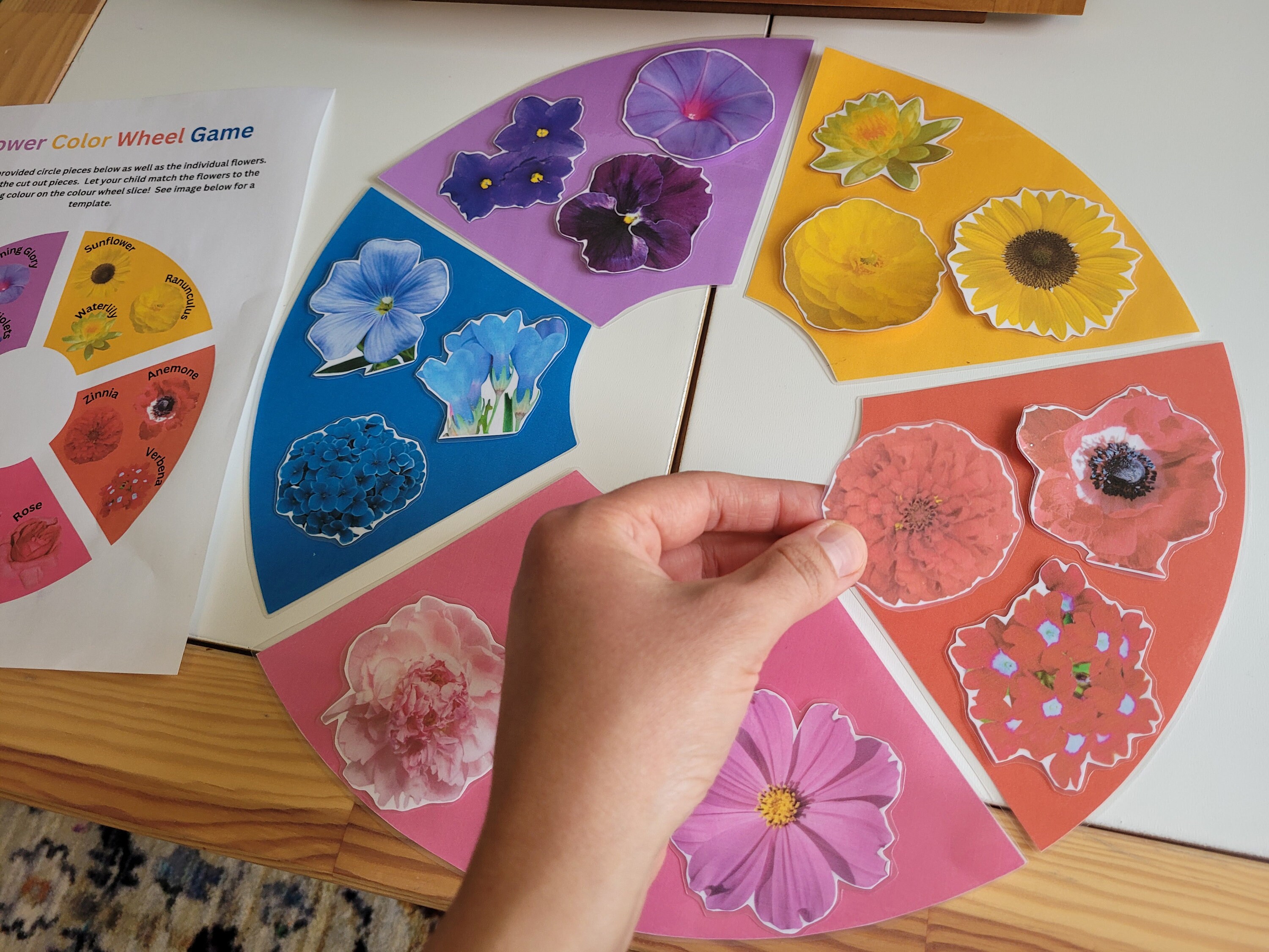 Printable Flower Color Wheel Matching Game, Floral Color Wheel ...