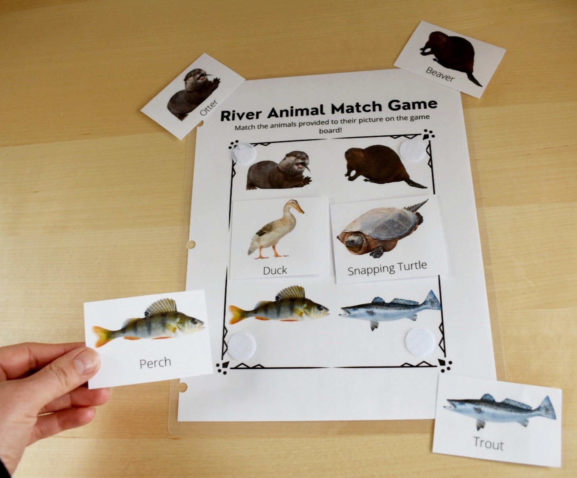 Forest Animal Matching Worksheet, Activities for Preschoolers ...