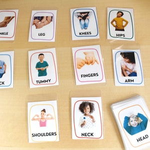Printable Toddler Flashcards, Parts of Body Flashcards, Montessori ...