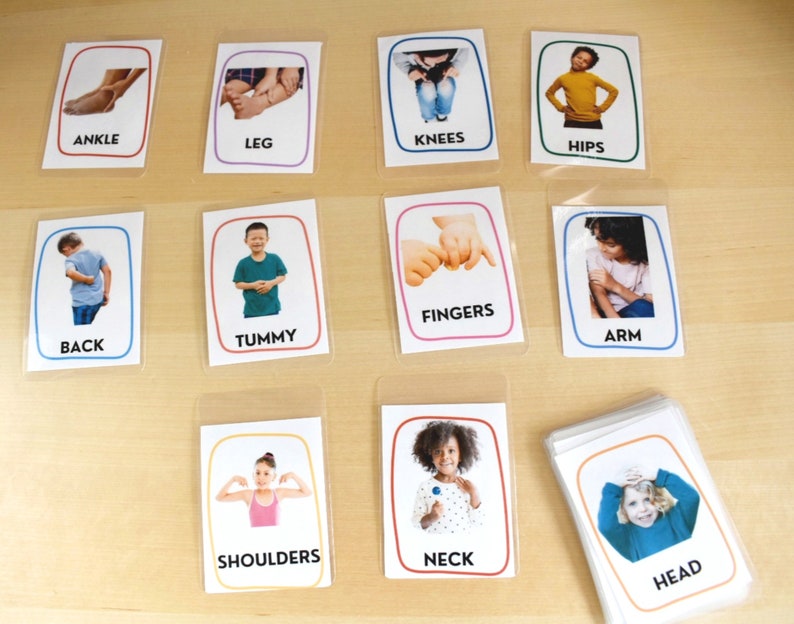 Printable Toddler Flashcards, Parts of Body Flashcards, Montessori ...