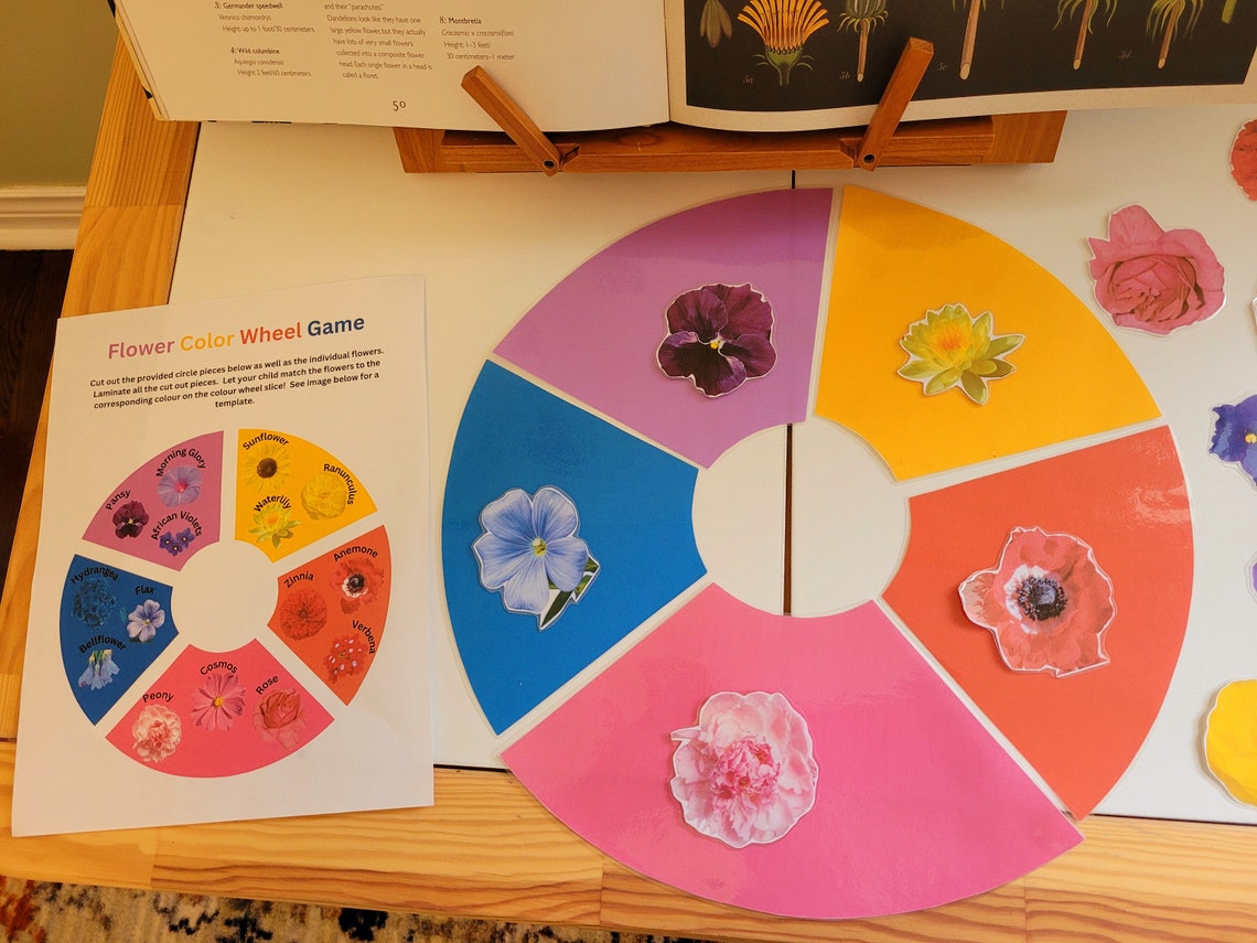 Printable Flower Color Wheel Matching Game, Floral Color Wheel ...