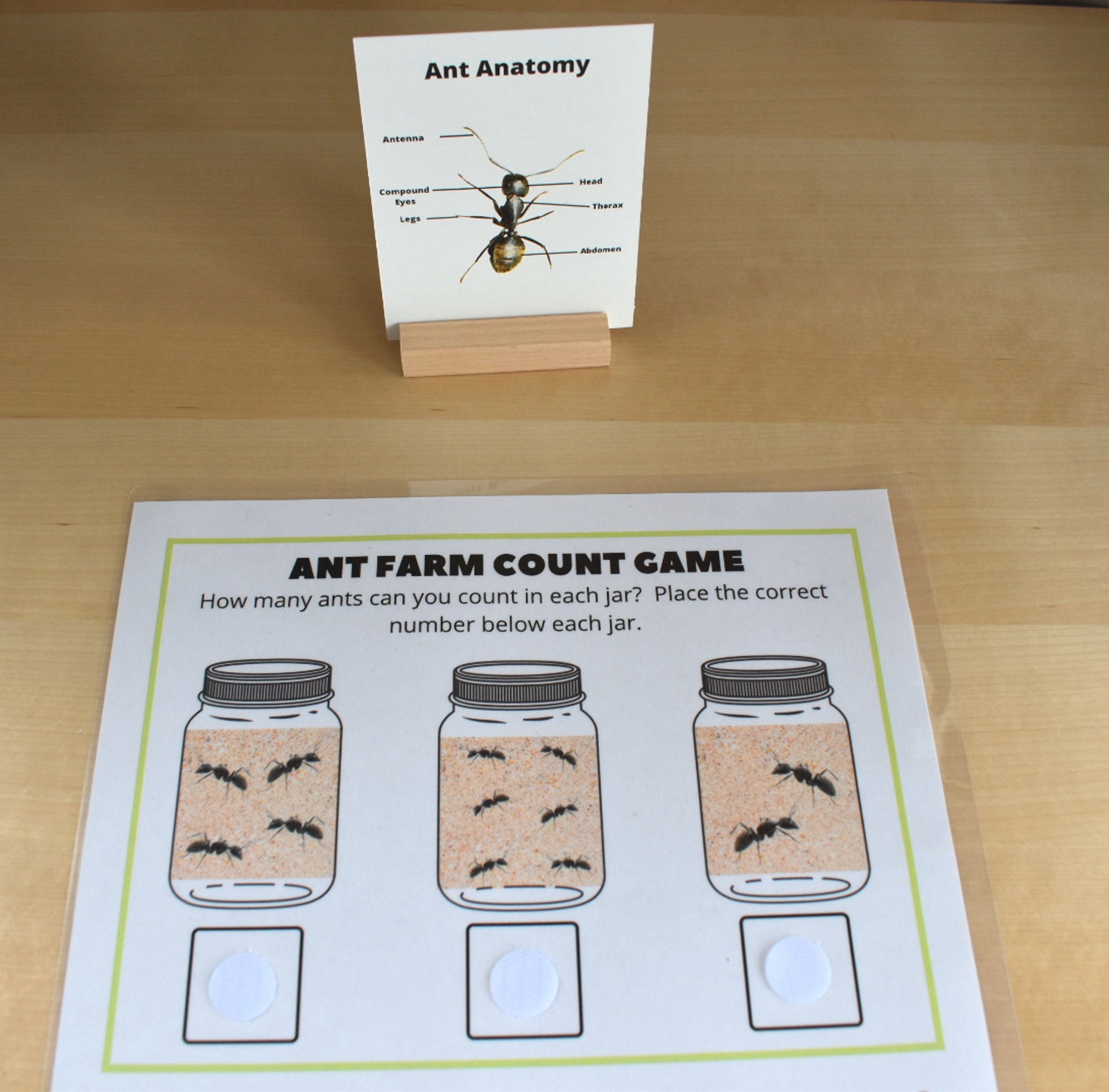 Ant Farm Count Game, Mathematics Worksheet, Home Learning, Homeschool ...