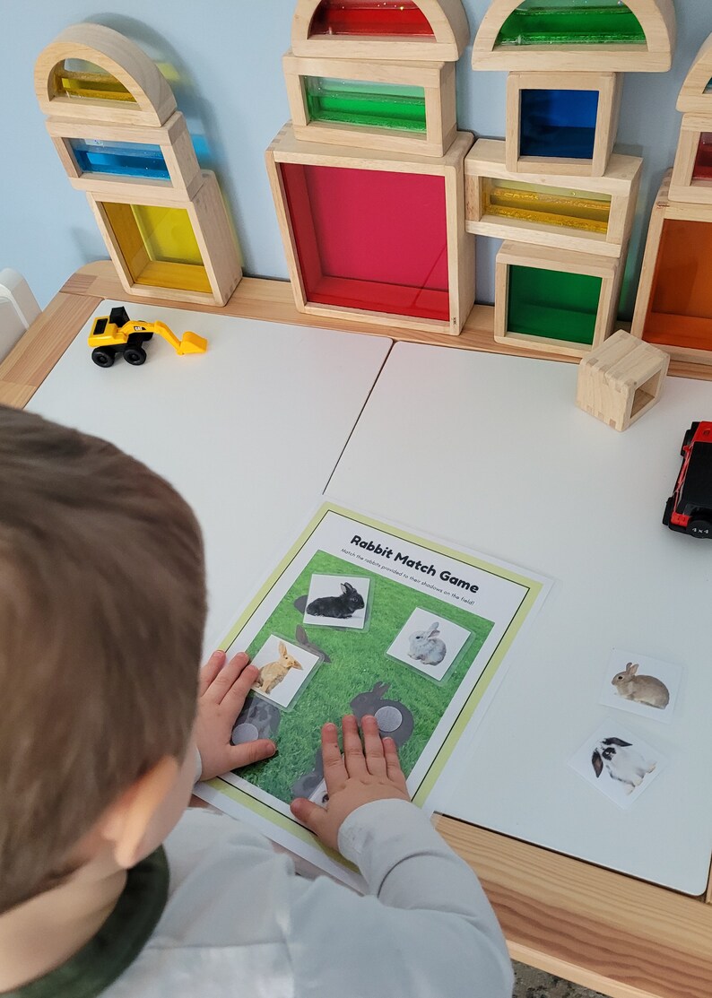 Printable Rabbit Match Game, Montessori Inspired, Nature Study, Toddler ...