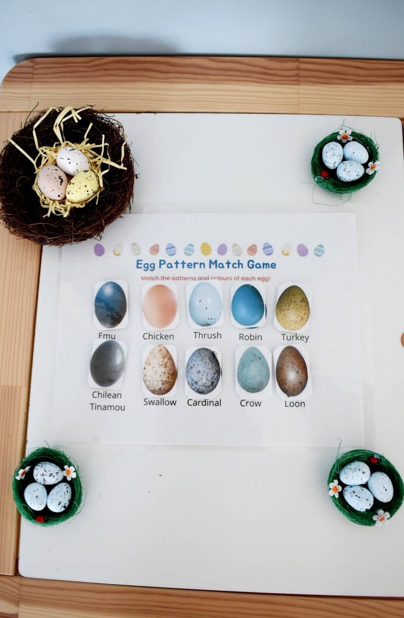 Egg Pattern Match Worksheet: Montessori Homeschool Printable (PDF) - Etsy