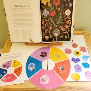 Printable Flower Color Wheel Matching Game, Floral Color Wheel ...