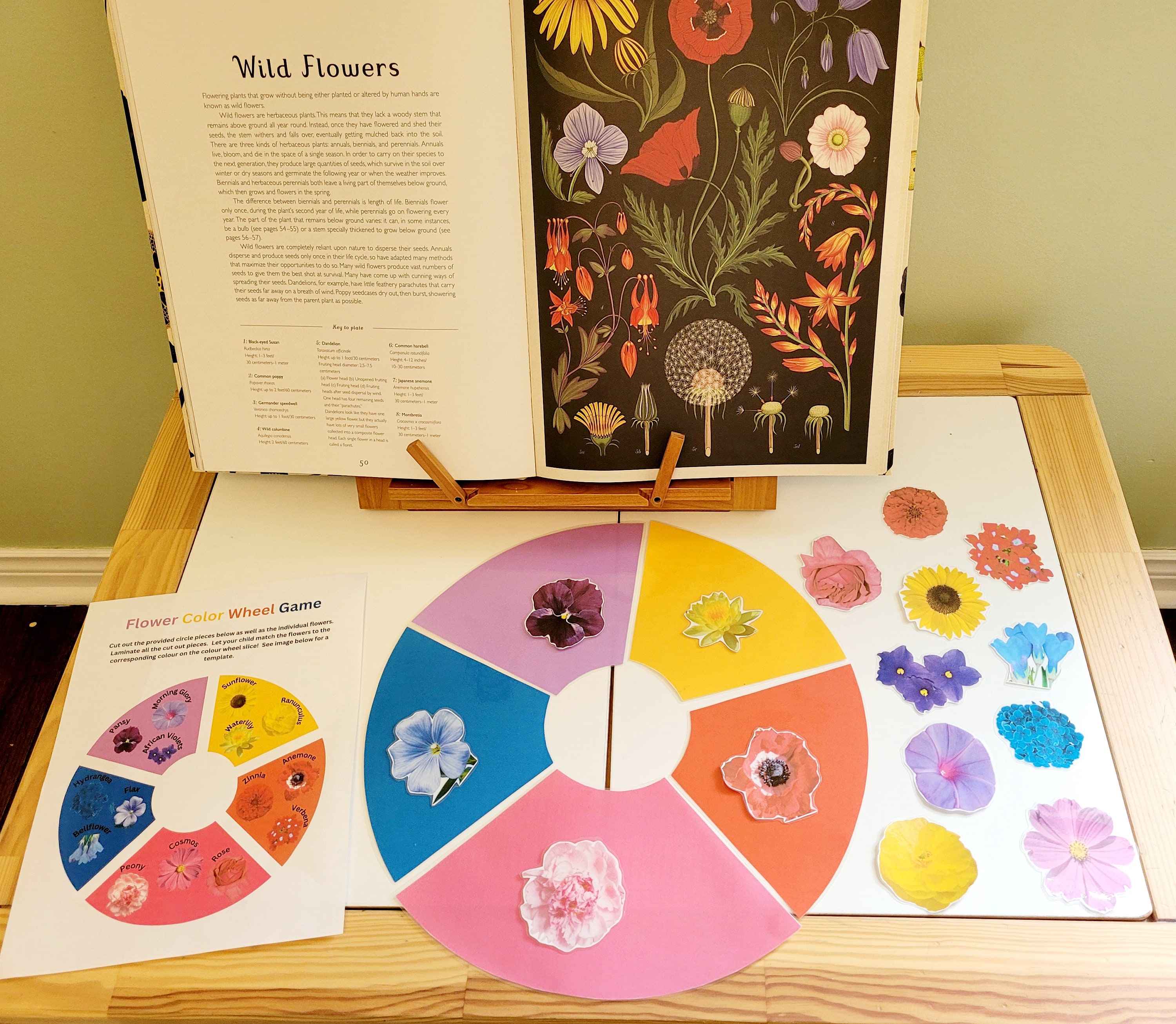Printable Flower Color Wheel Matching Game, Floral Color Wheel ...
