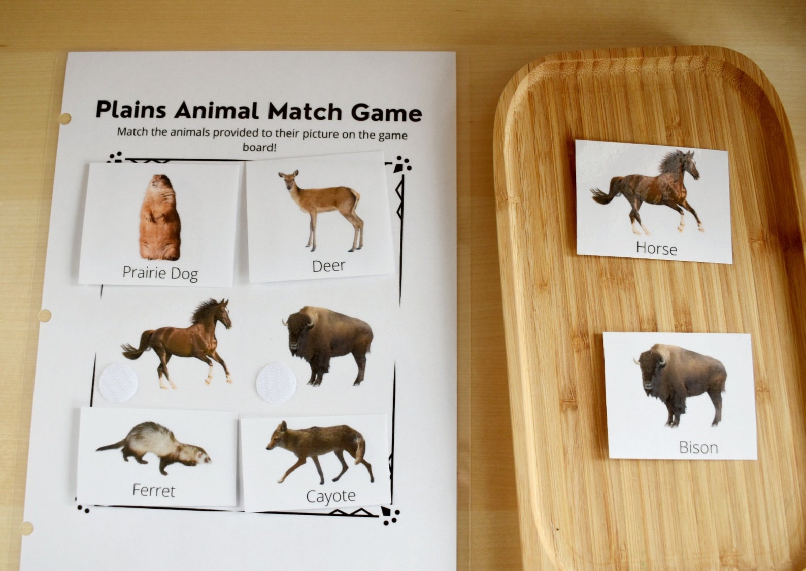 Plains Animal Matching Game, Activities for Preschoolers, Montessori ...