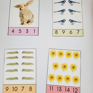 Spring Counting Clip Cards, Math Flash Cards, Numbers 1-12, Montessori ...