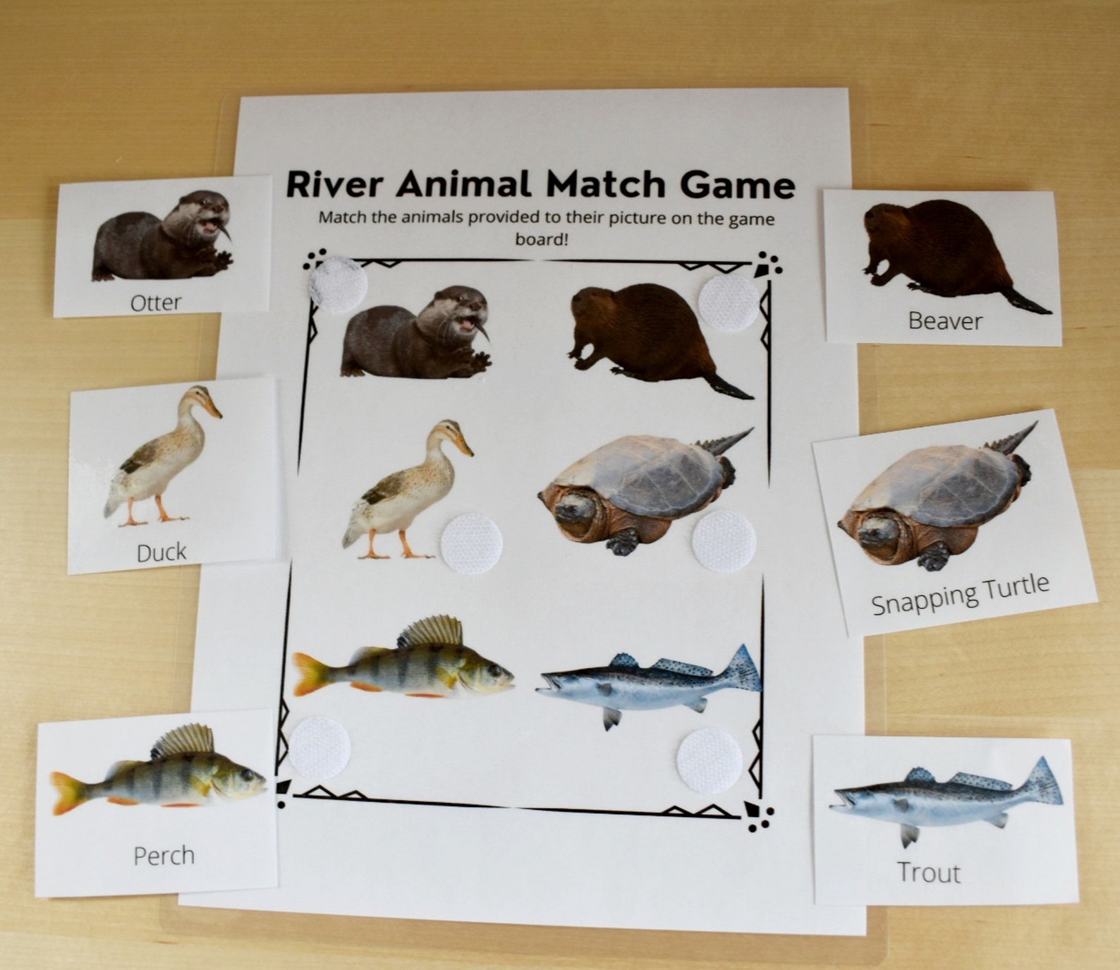 Forest Animal Matching Worksheet Activities for Preschoolers - Etsy