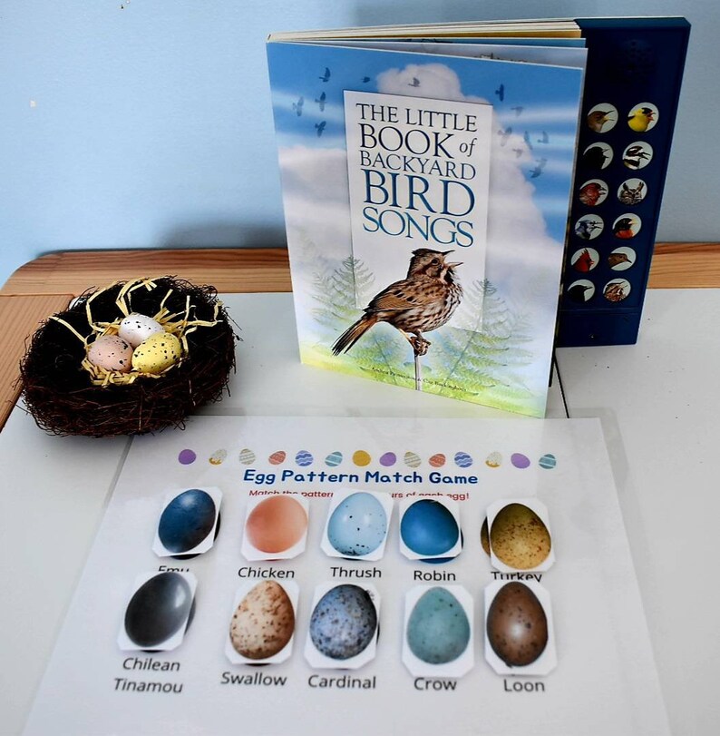 Egg Pattern Match Worksheet: Montessori Homeschool Printable (PDF) - Etsy