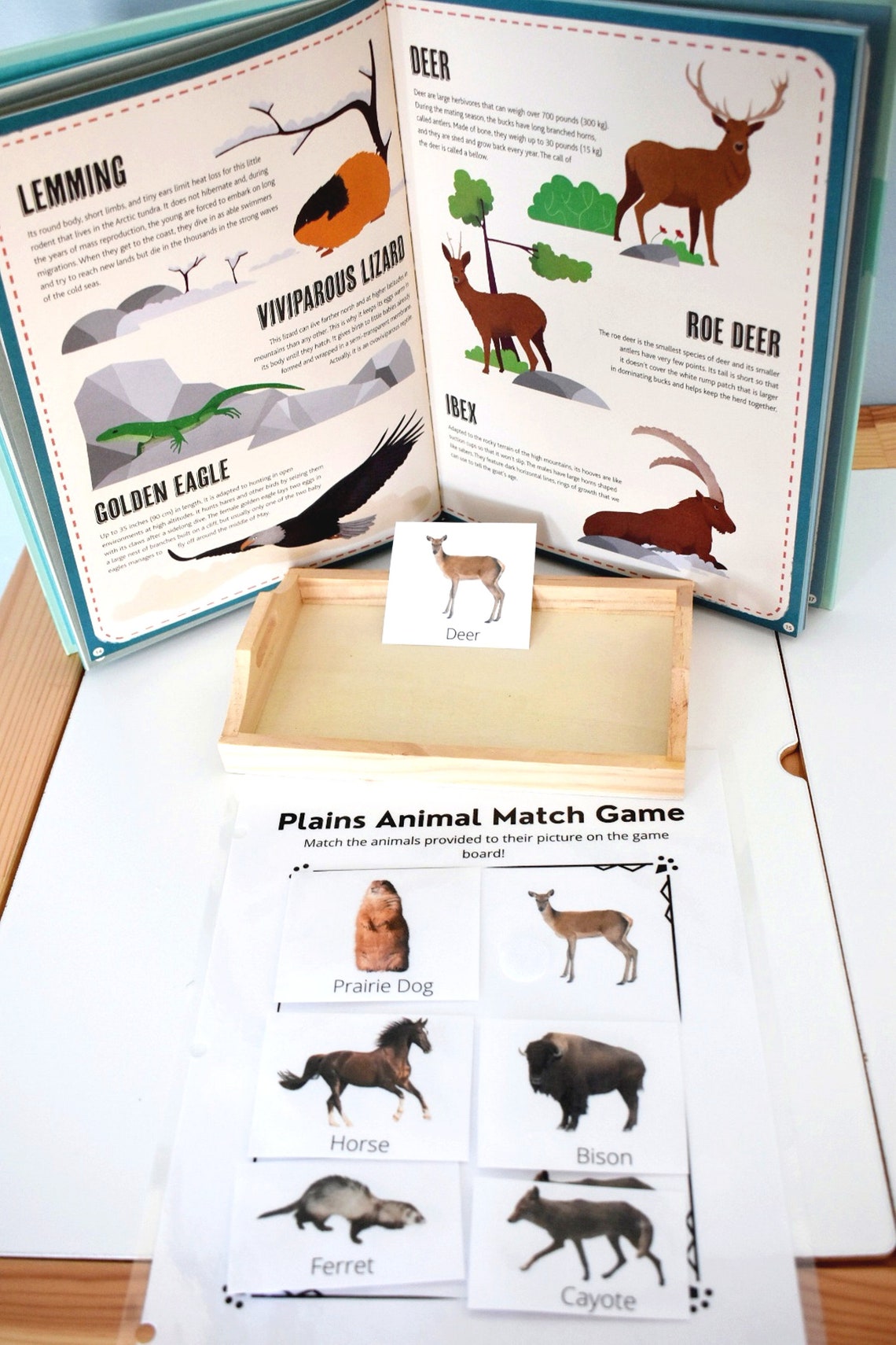 Plains Animal Matching Game, Activities for Preschoolers, Montessori ...