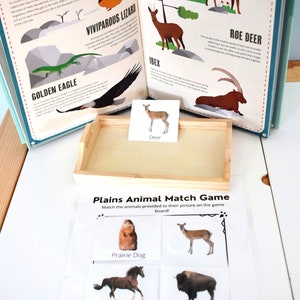 Plains Animal Matching Game, Activities for Preschoolers, Montessori ...