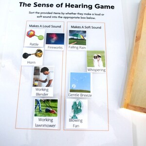Printable Preschool Biology Weather and the Five Senses Worksheet ...