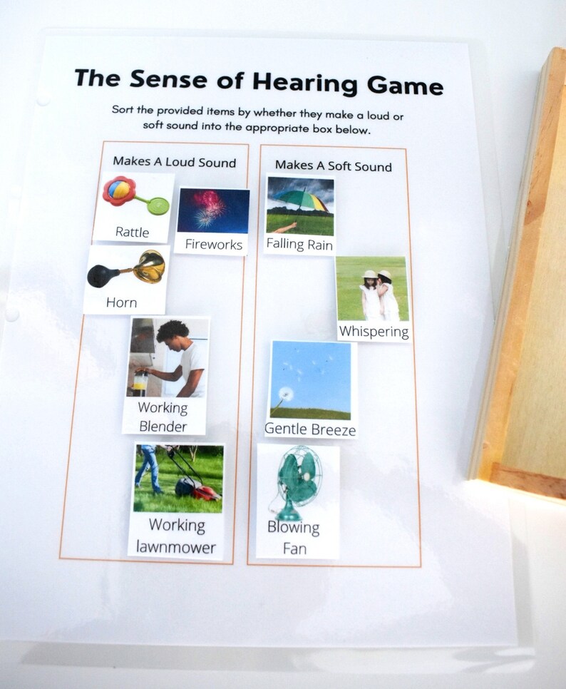 Printable Preschool Biology Weather and the Five Senses Worksheet ...