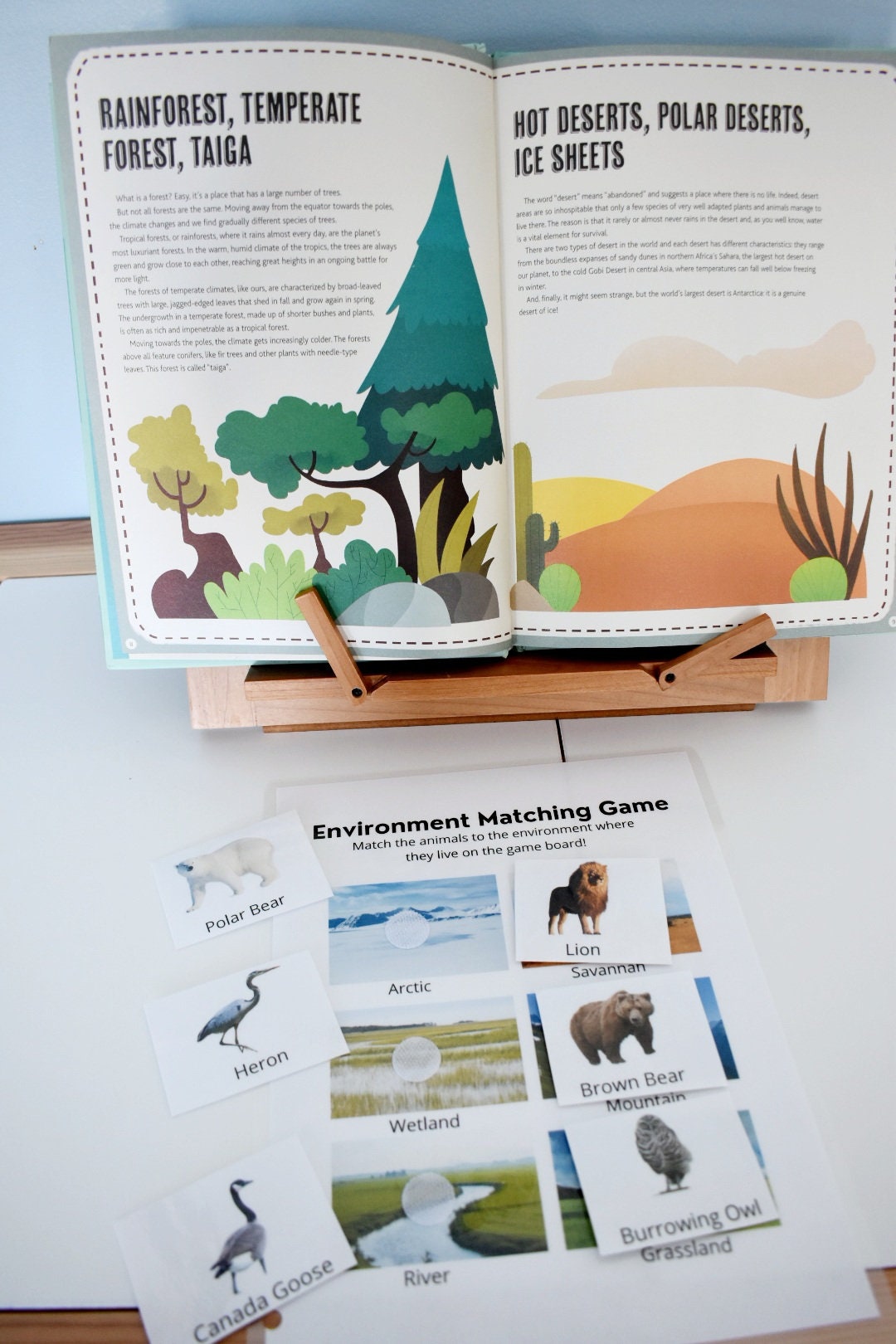 Animal to Environment Matching Game, Preschool Printable Busy Book Page ...
