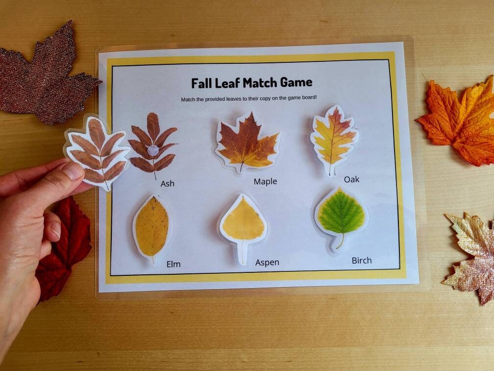 Fall Leaf Match Game, Montessori Inspired, Fall Toddler Activity ...