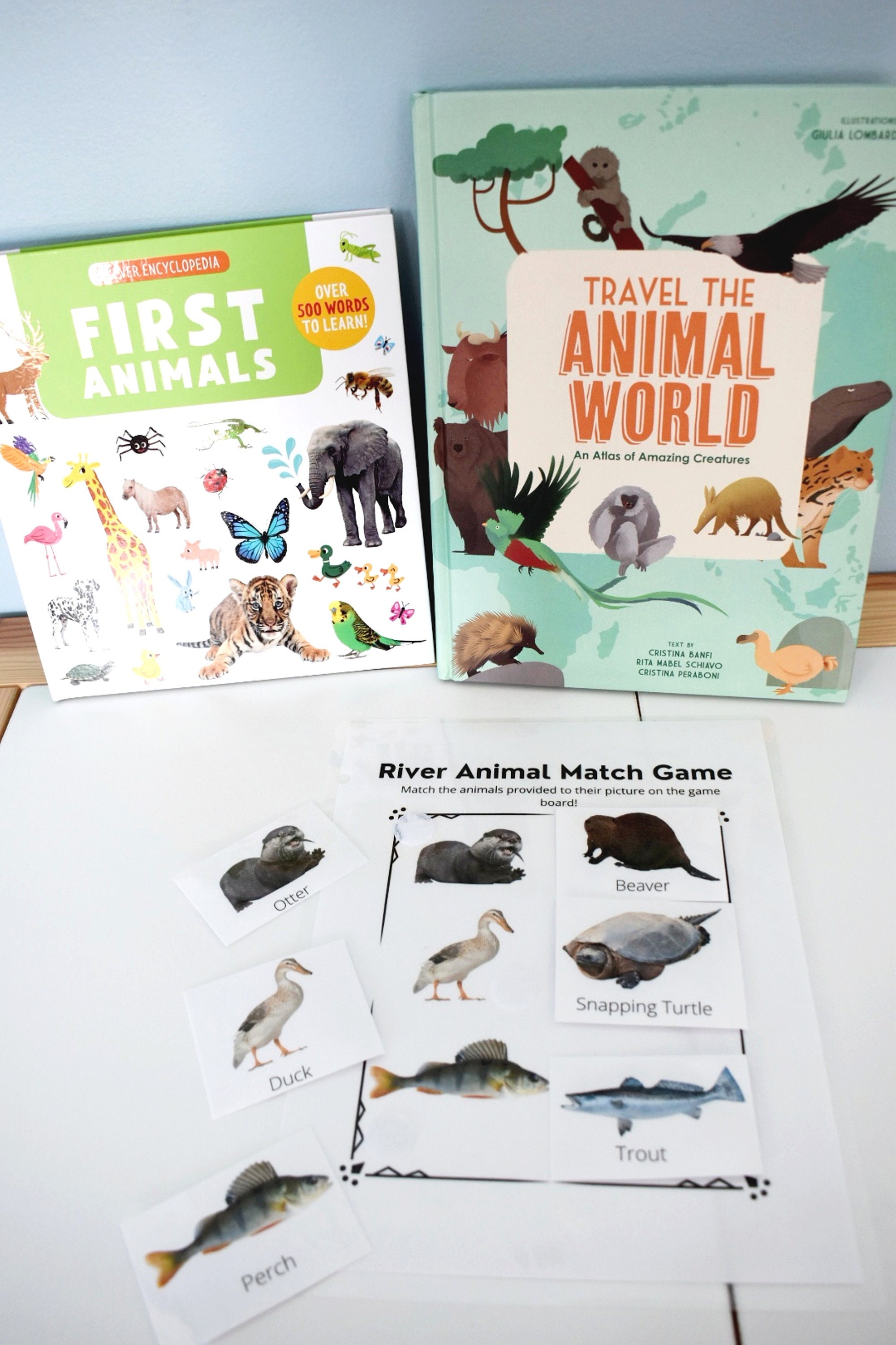 Forest Animal Matching Worksheet, Activities for Preschoolers ...