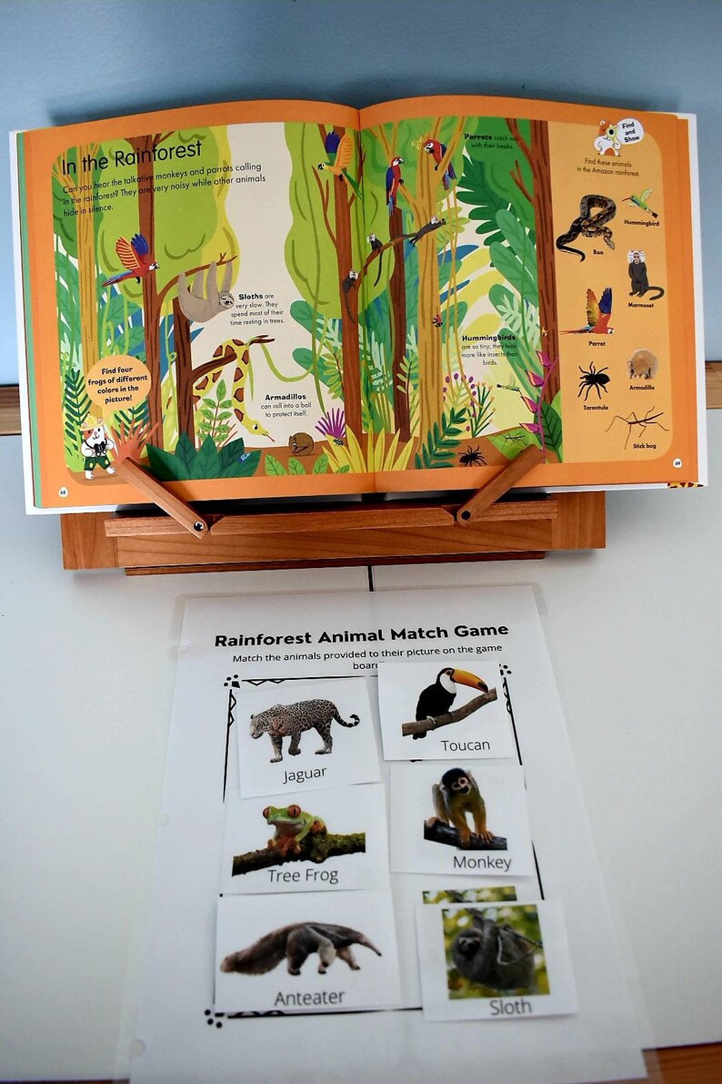 Rainforest Animal Matching Game, Preschool Printable Busy Book Page ...
