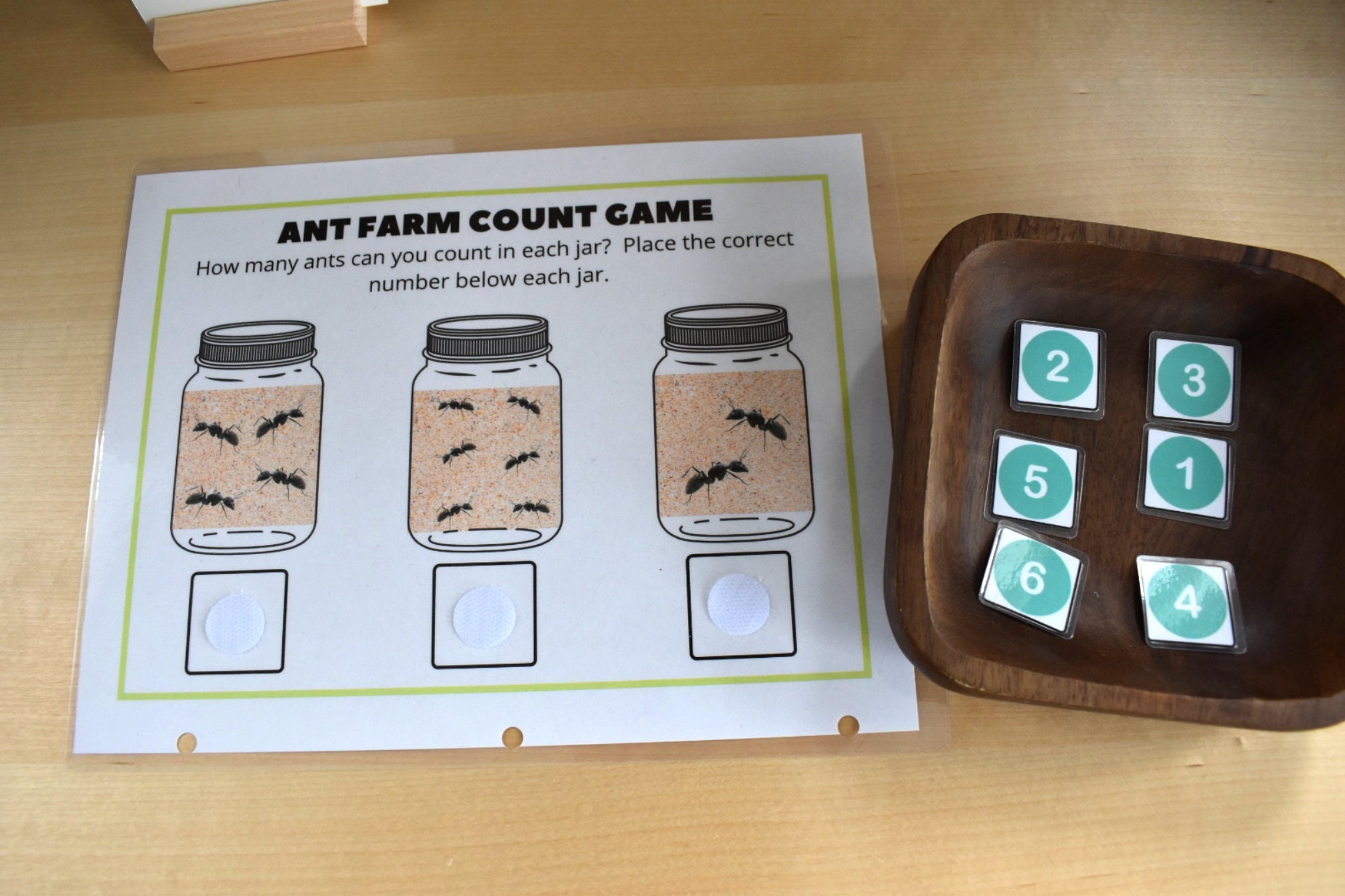 Ant Farm Count Game, Mathematics Worksheet, Home Learning, Homeschool ...