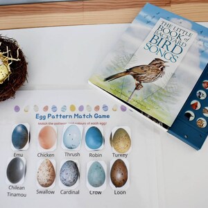 Egg Pattern Match Worksheet: Montessori Homeschool Printable (PDF) - Etsy