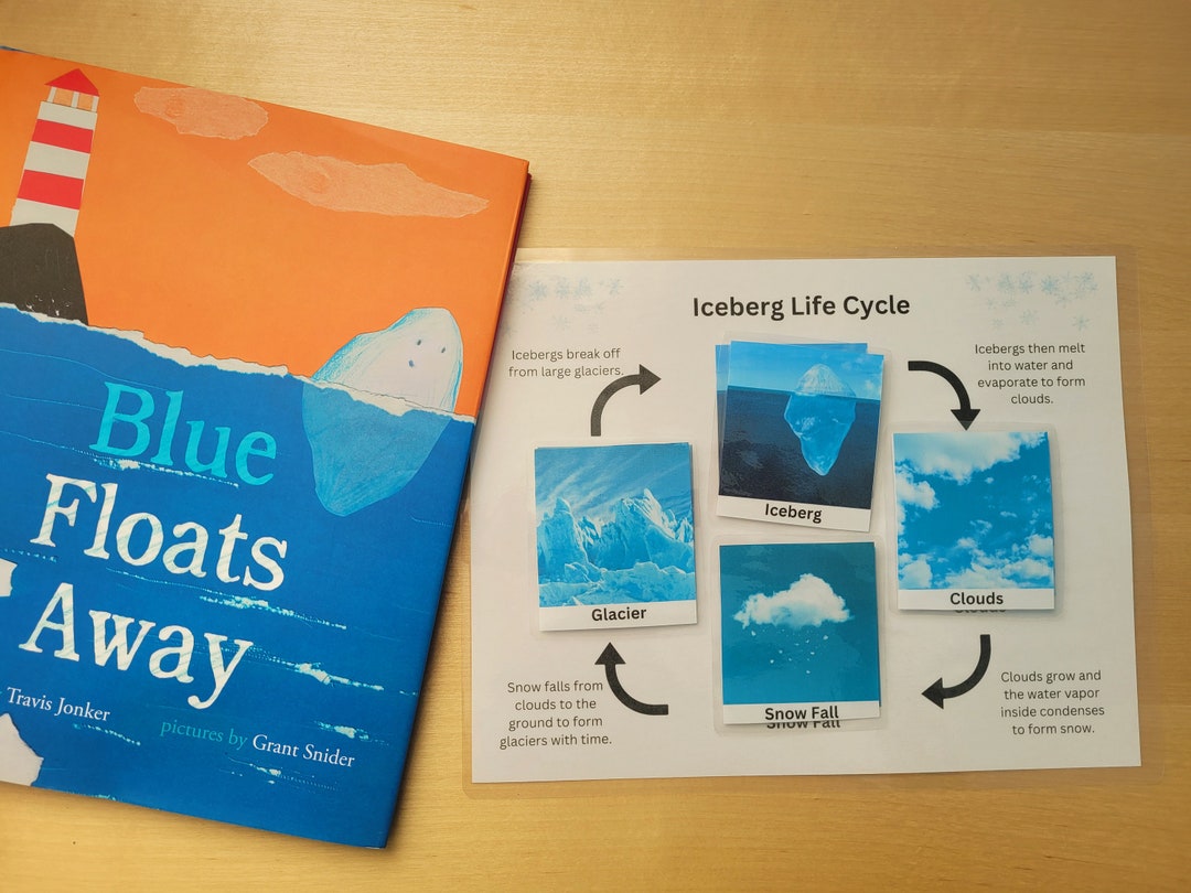 Iceberg Life Cycle Worksheet, Nature Study, Homeschool Resources, Busy ...