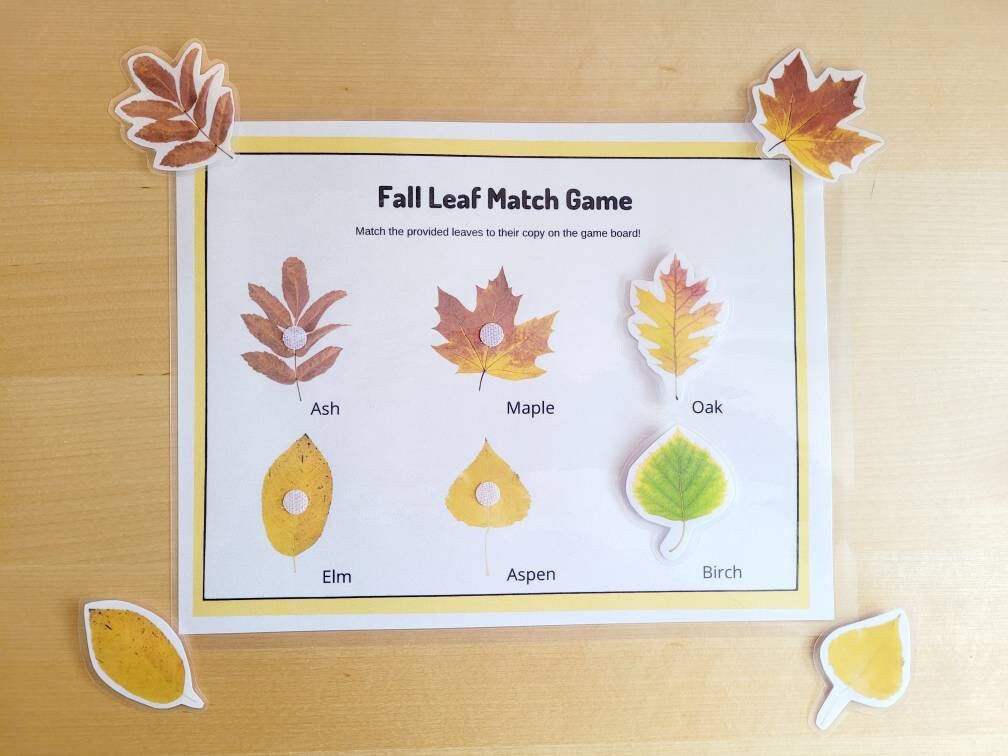Fall Leaf Match Game, Montessori Inspired, Fall Toddler Activity ...