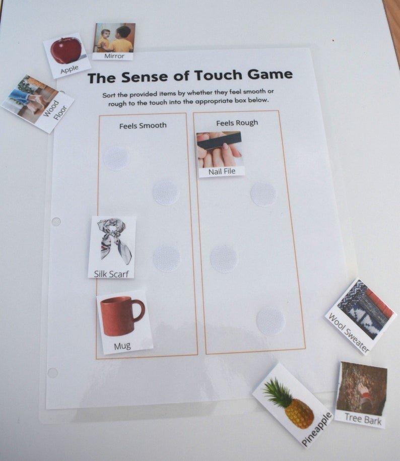 Printable Preschool Biology Weather and the Five Senses Worksheet ...