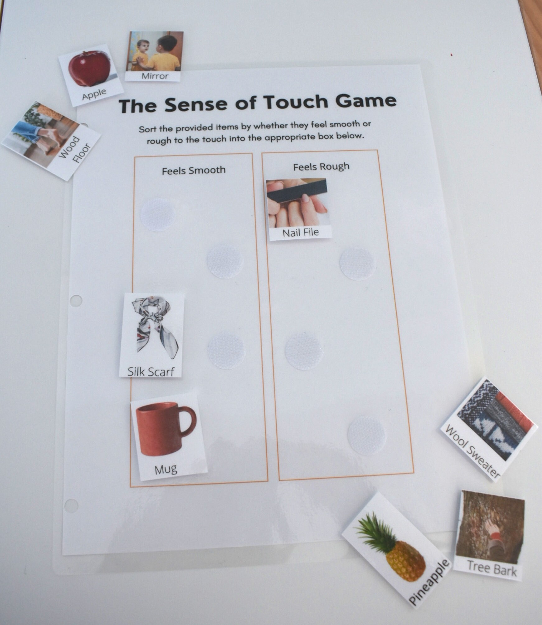 Printable Preschool Biology Weather and the Five Senses Worksheet ...